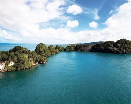 Importancia de los ecosistemas terrestres de República Dominicana